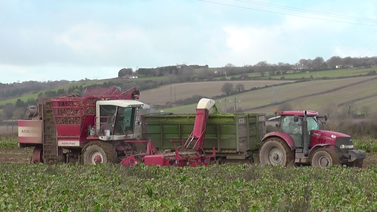 Agrifac WKM 9000 Self Propelled Beet Harvester - YouTube