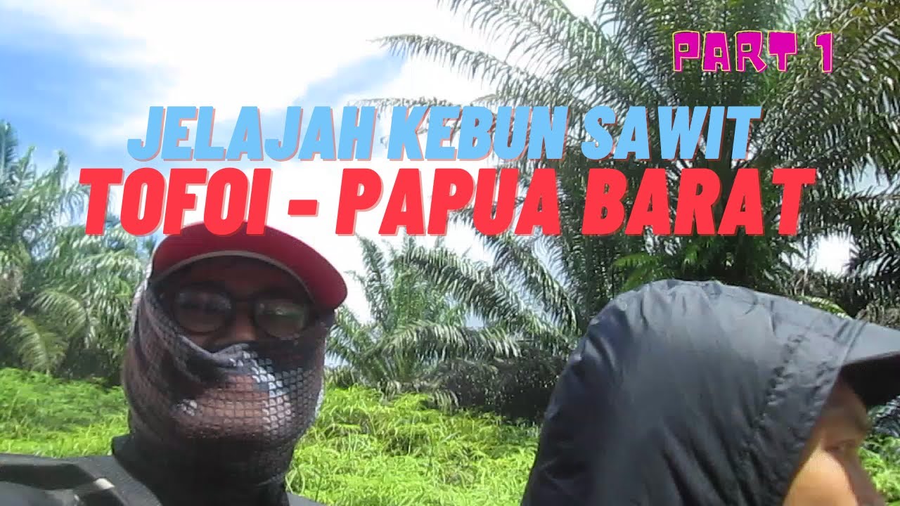 KEBUN SAWIT DI TOFOI, PAPUA BARAT #digicam - YouTube