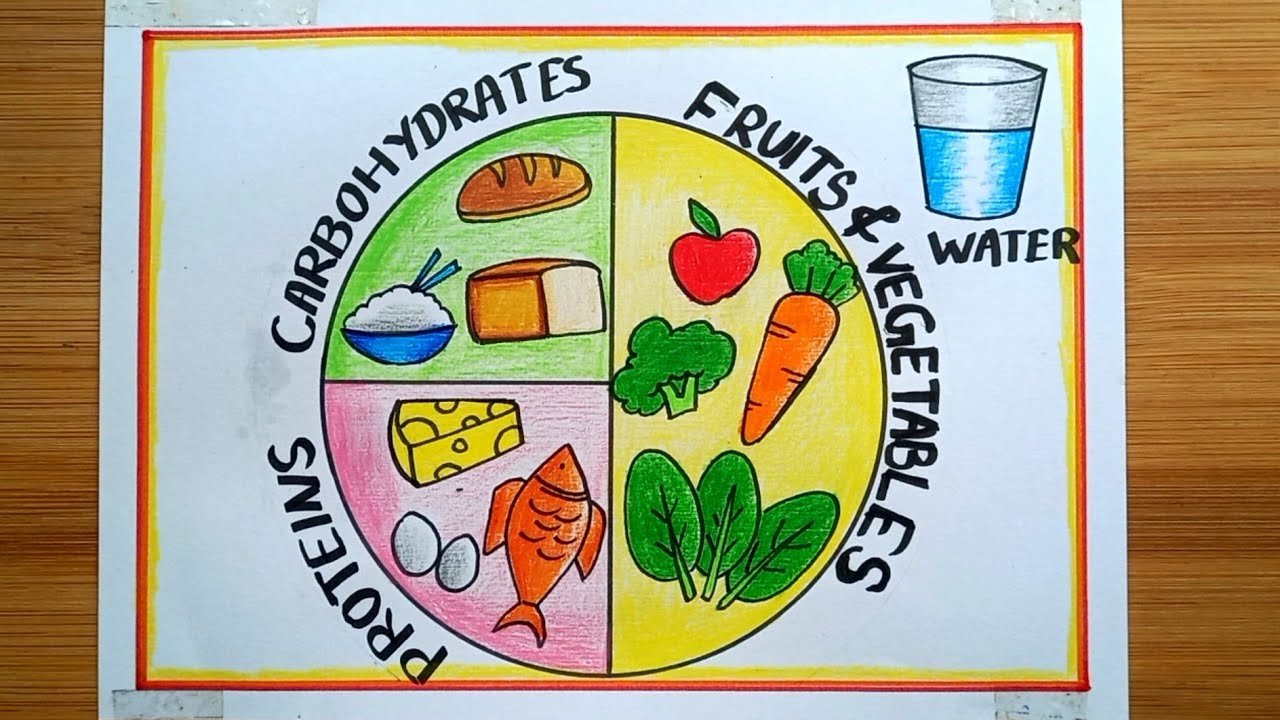 Balanced Diet Chart Drawing/Healthy Plate Drawing/How To Draw Balanced ...