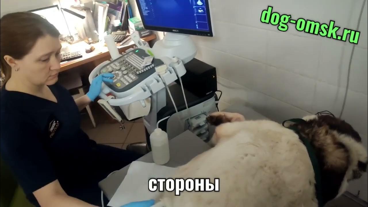Новости от АРЕСА. - YouTube