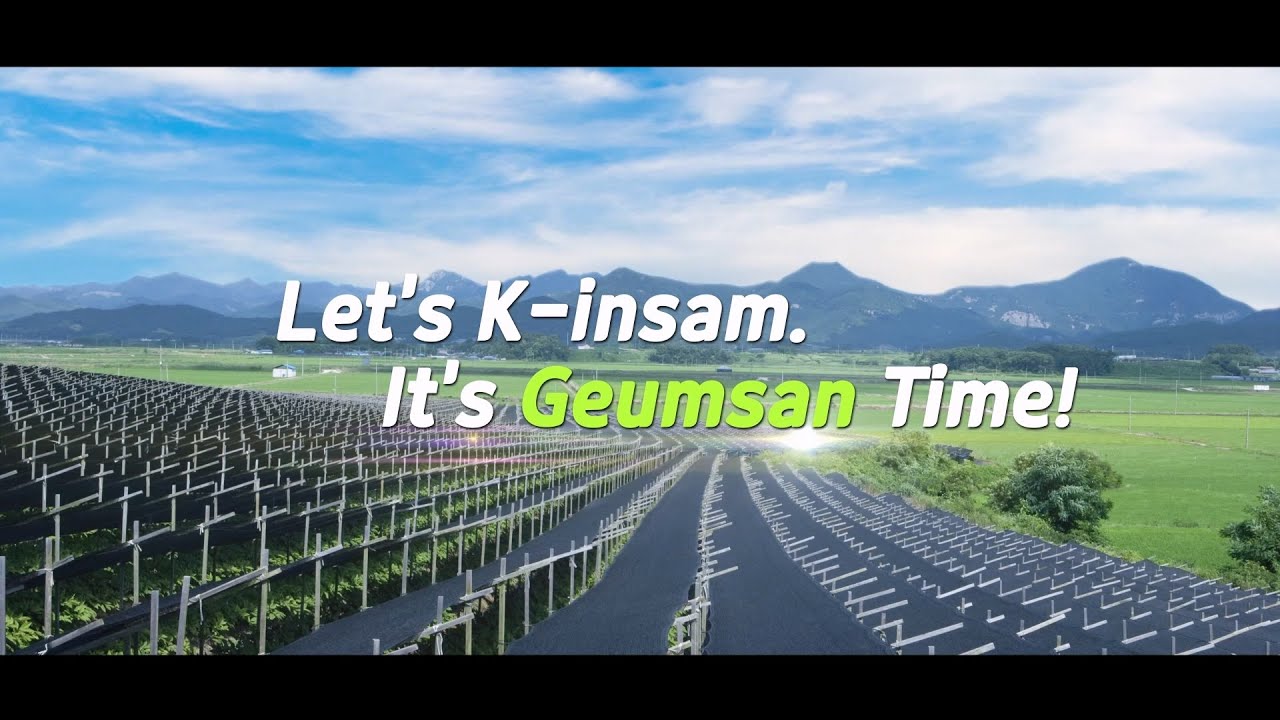 Let's K-insam. It's Geumsan Time! - YouTube