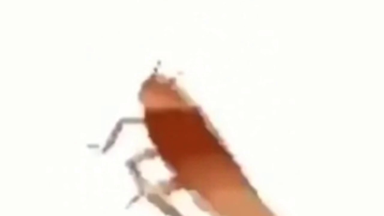 roach dancing meme but to the speed of light - YouTube