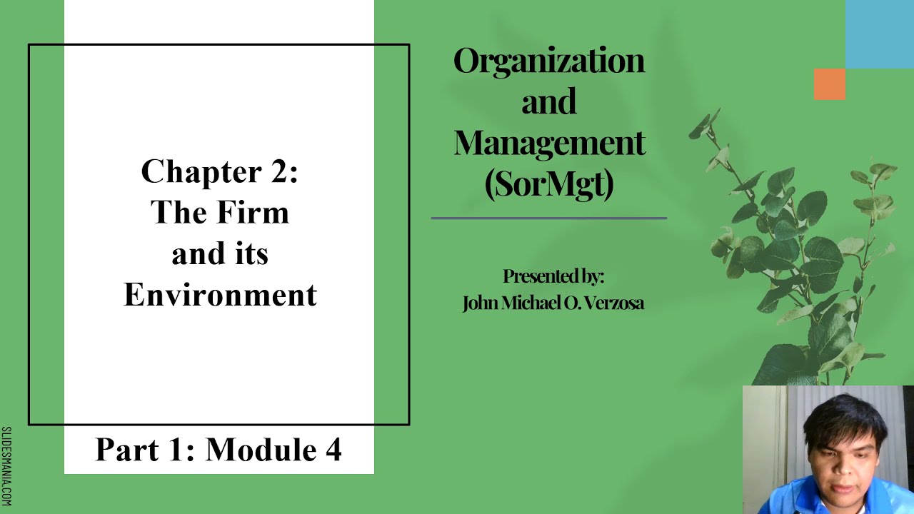 Organization and Management Module 4: The firm and its Environment ...