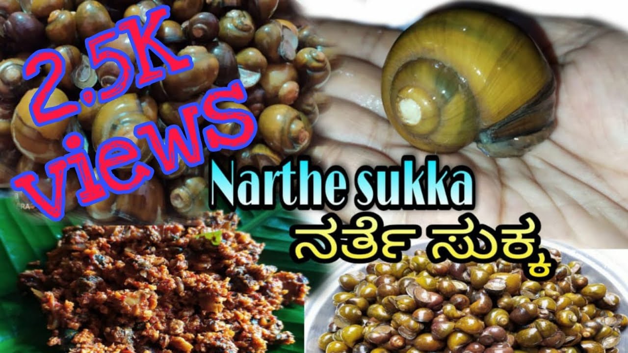 ನತೆ೯ ಸುಕ್ಕ| Narthe sukka tulunadu special | Snail recipe - YouTube