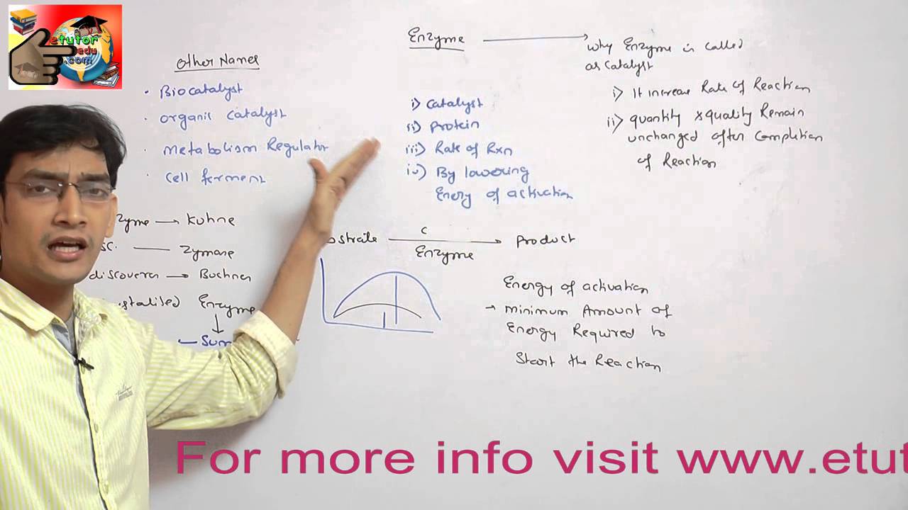 demo video lectures on enzymes for AIPMT,BHU,AIIMS,AFMC,WBJEE - YouTube