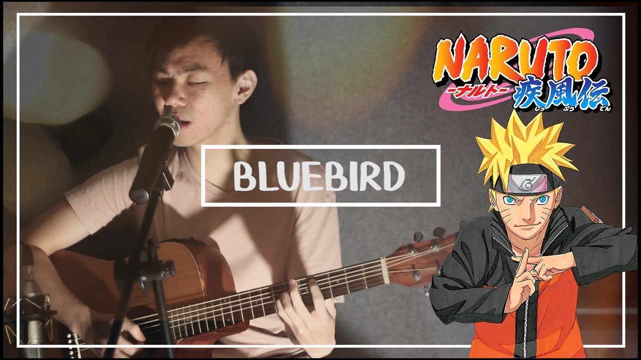 「ブルーバード」Blue Bird (Acoustic Cover) - Naruto Shippuden OP 3 - YouTube