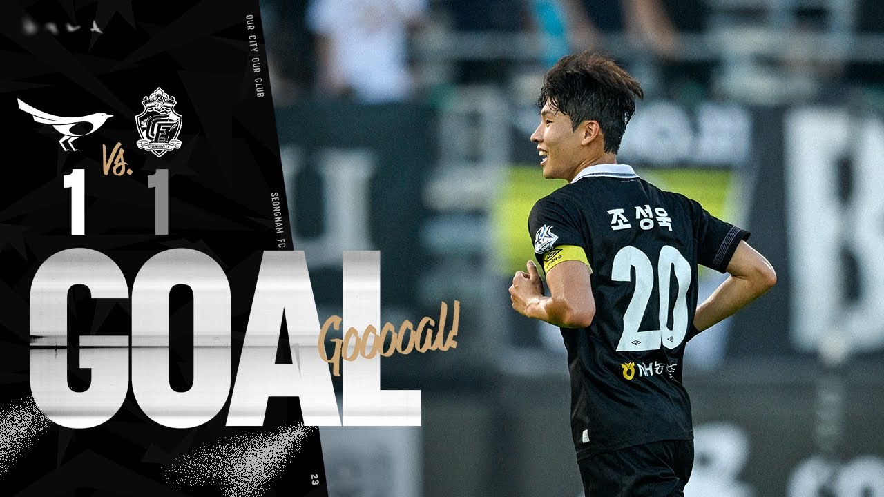본인도 놀란 원더골! l GOAL 22R 성남FC vs 경남FC - YouTube