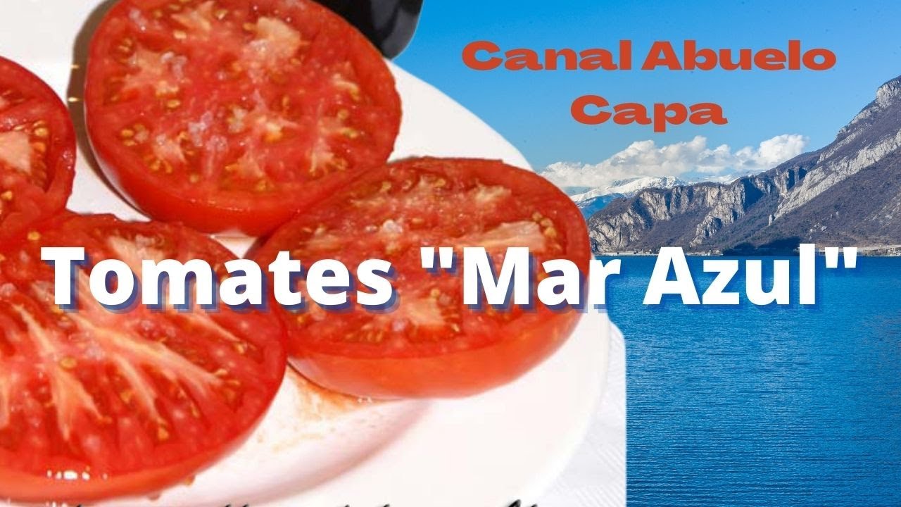Tomate Mar Azul - YouTube