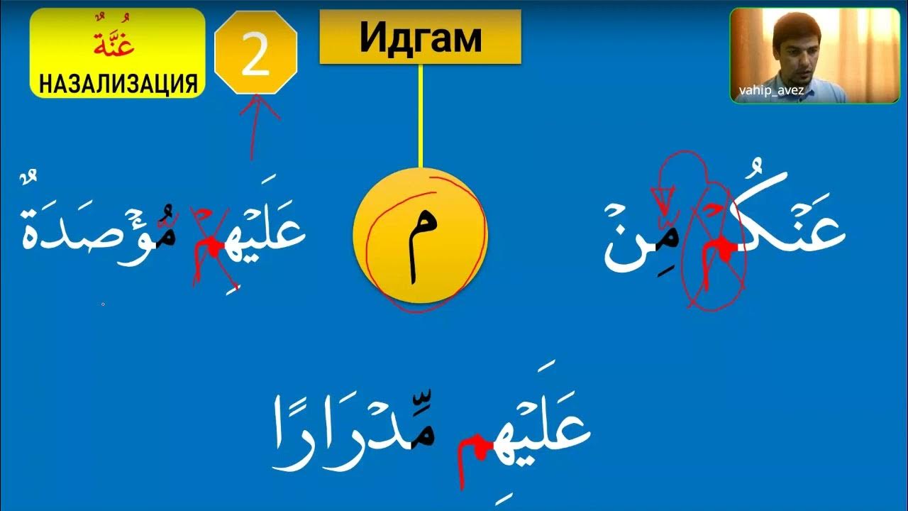 Правила ТАДЖВИДА с нуля на схемах и таблицах + ЧТЕНИЕ маленьких сур ...