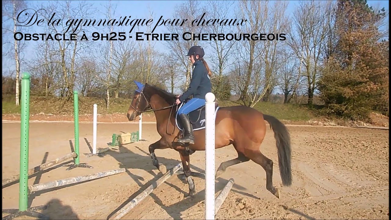 DE LA GYM POUR CHEVAUX - Obstacle à 9h25 - Etrier Cherbourgeois - YouTube