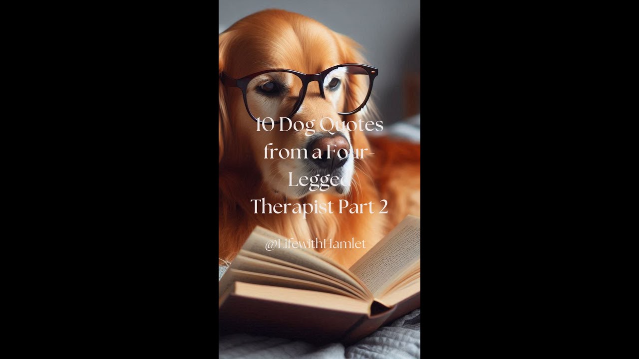 🤔💭📖WHOA‼️ 10 DOG QUOTES FROM YOUR FOUR LEGGED THERAPIST, HAMLET PART 2 ...