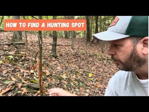 How to find a hunting spot - YouTube