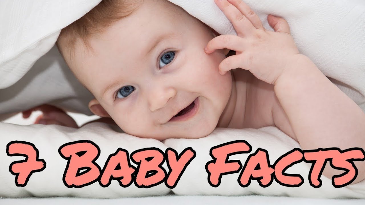 Cute Baby Facts Facts Related To Baby Need To Watch This Cute Baby cute-baby-facts-facts-related-to-baby-need-to-watch-this-cute-baby