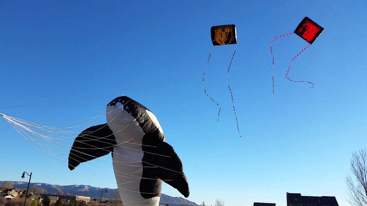 Flying New Kites - YouTube