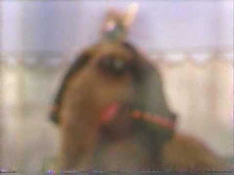 Sesame Street #2687 (street scenes) PART 2/3 - YouTube