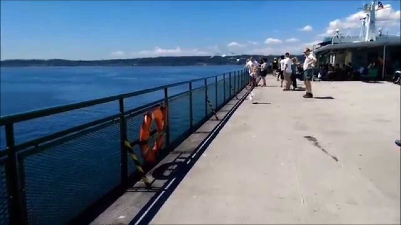 Seagulls in Seattle - YouTube