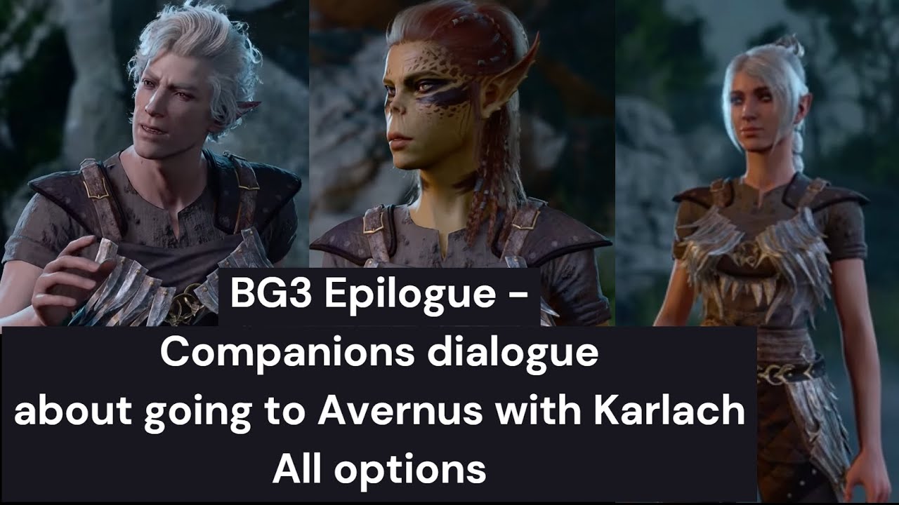 BG3 Epilogue - Companions dialogue about going to Avernus with Karlach ...