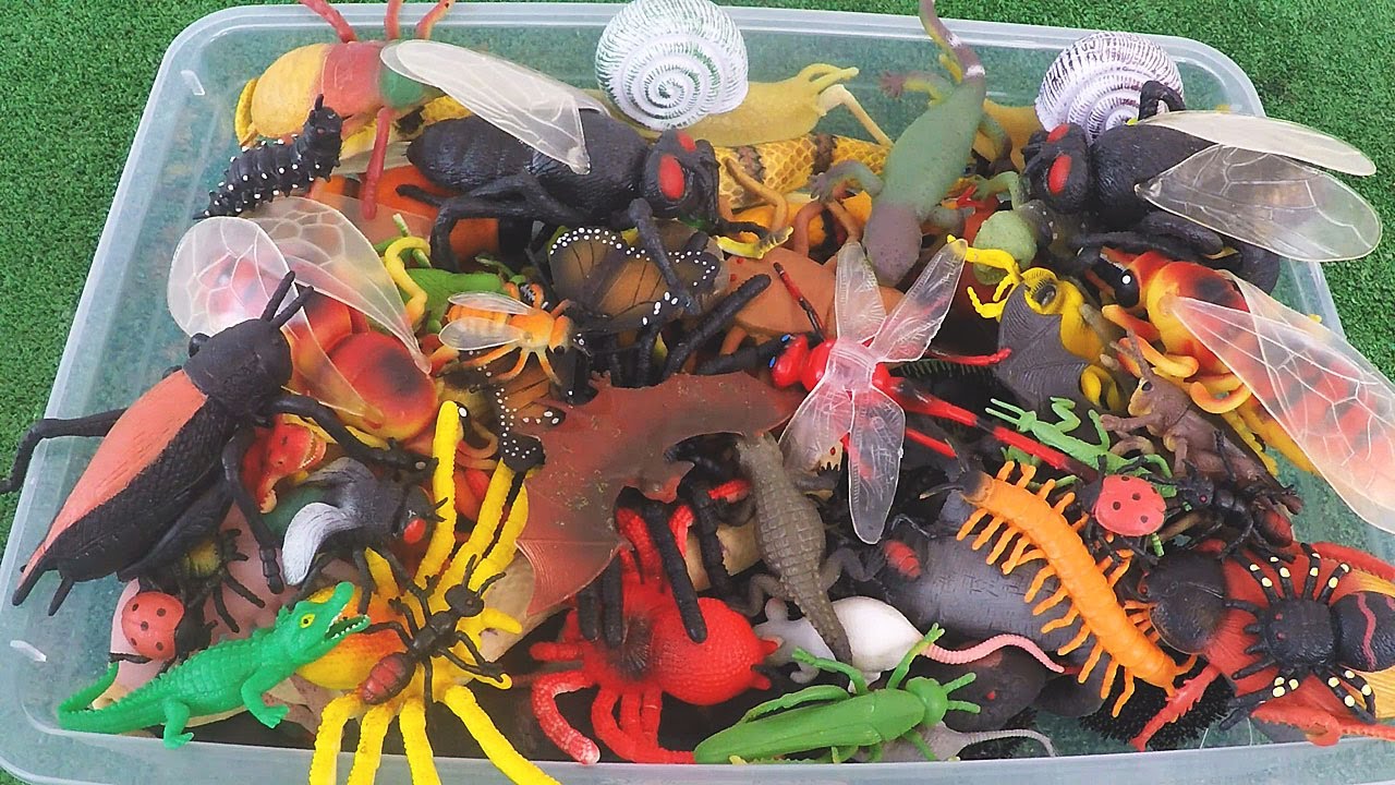 Learn Insects Names and Sounds for Kids - 50 Insects and Bugs Toys For ...