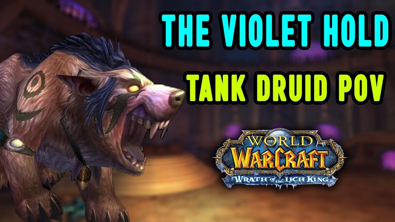 Wotlk Classic Phase 4 Feral Tank Druid PoV Dungeon Gamma The Violet ...
