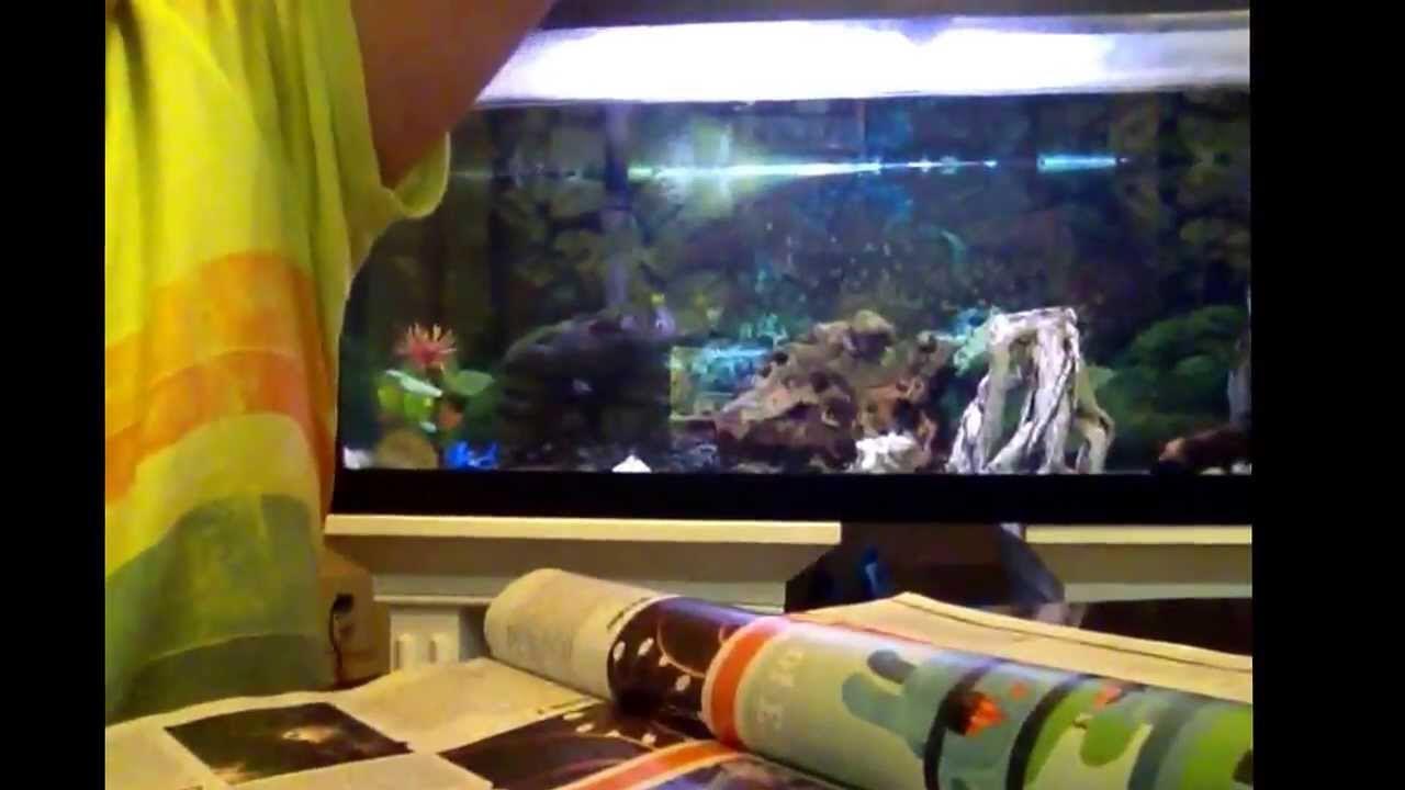 Vlog:1 E3 stuff - YouTube