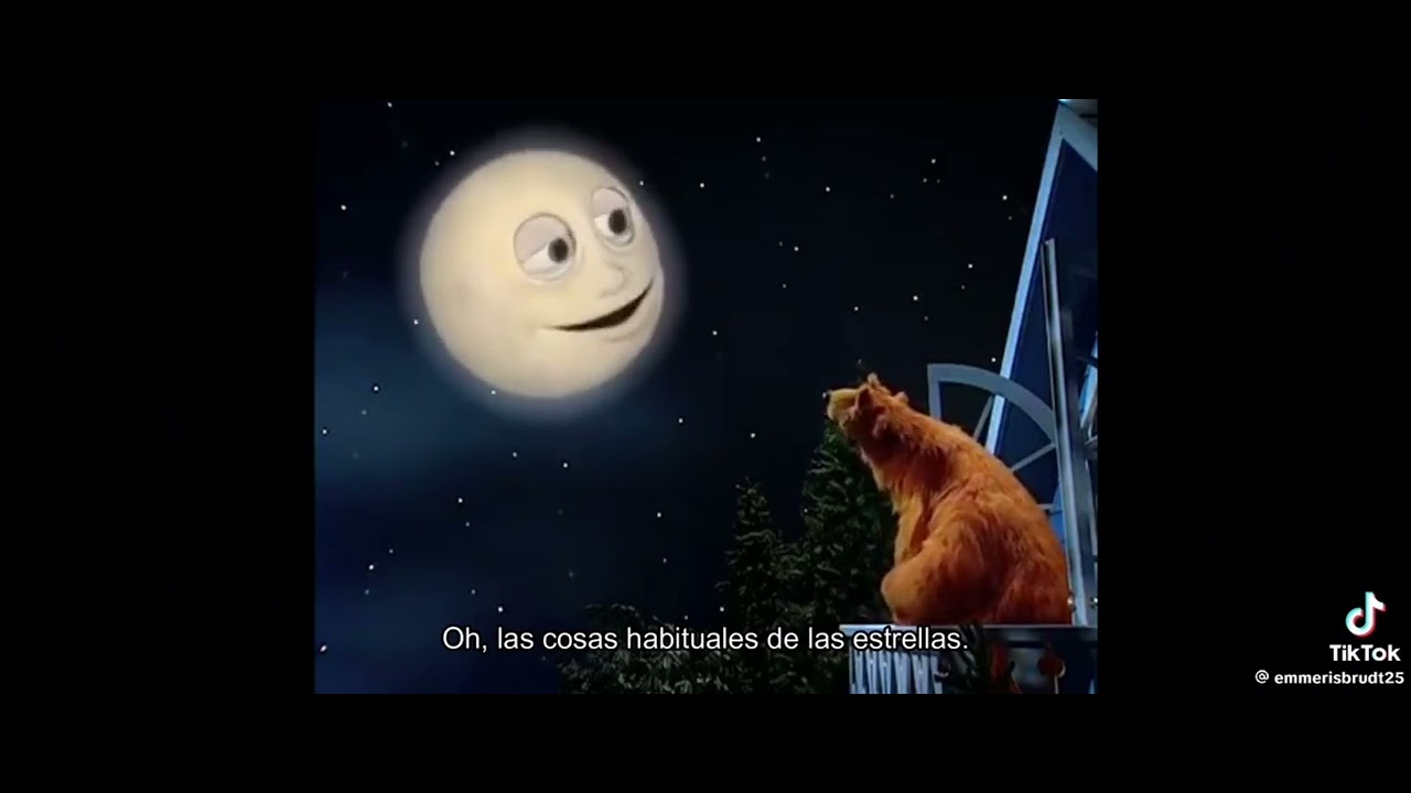 Wonder, pets, laughing bear, and Luna - YouTube