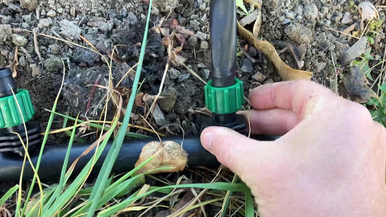 Simple DIY Drip Irrigation System - YouTube