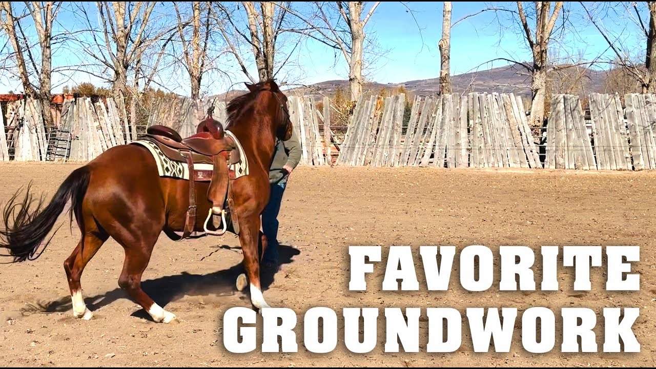 Favorite Groundwork - YouTube
