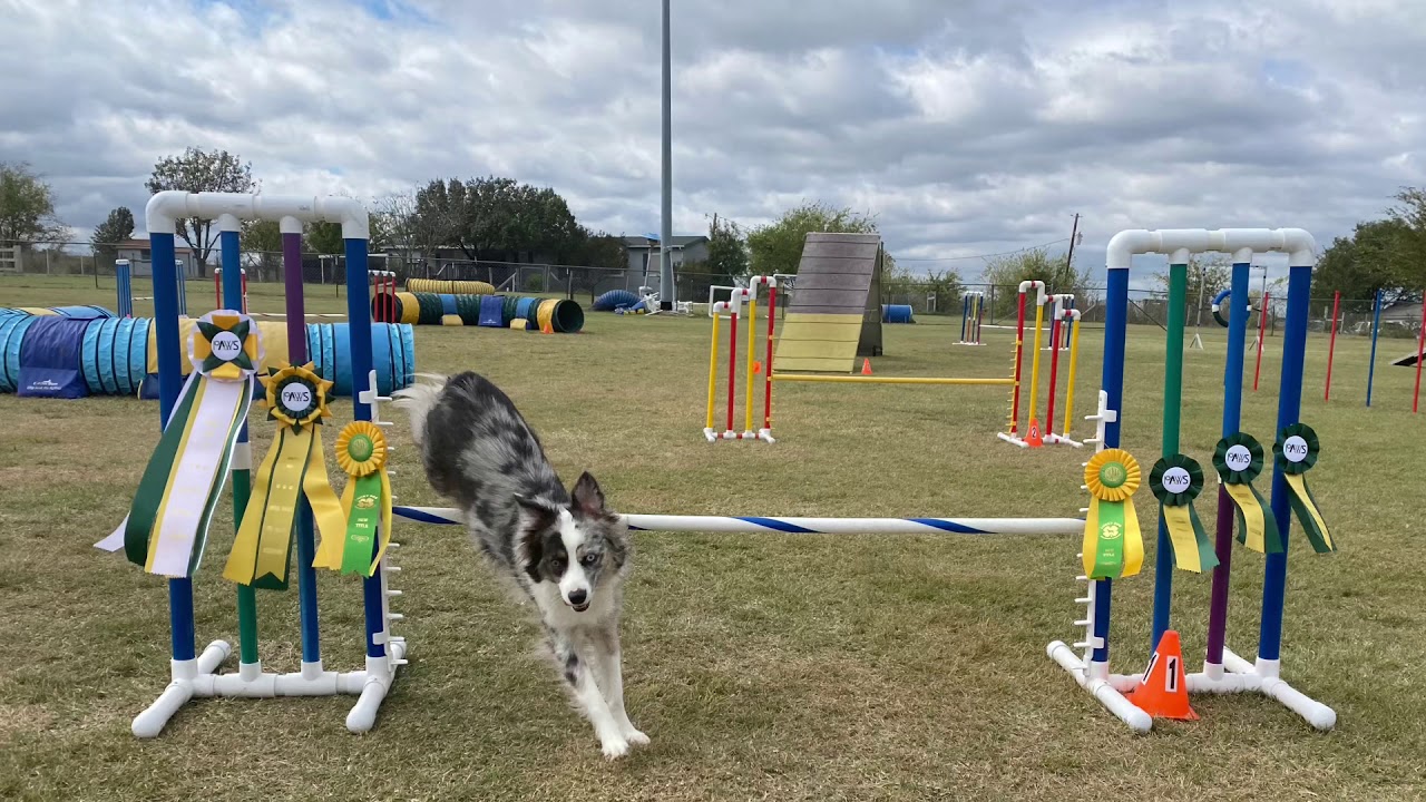 Marshal earns his Advance Snooker, Advance Gamblers, Advance STD and ...