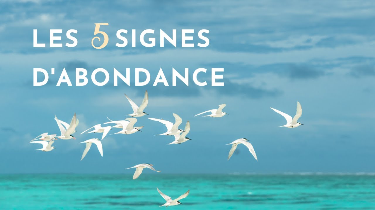 Pourquoi reconnaitre 5 signes abondance ? - Ho'oponopono - YouTube