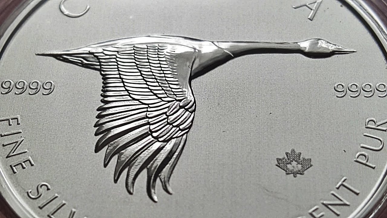 2020 Canadian Goose 2oz Silver BU Coin - YouTube