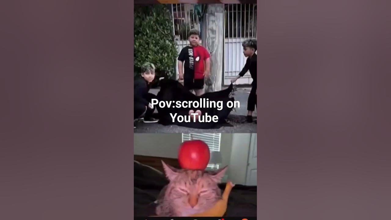 pov scrolling on YouTube - YouTube