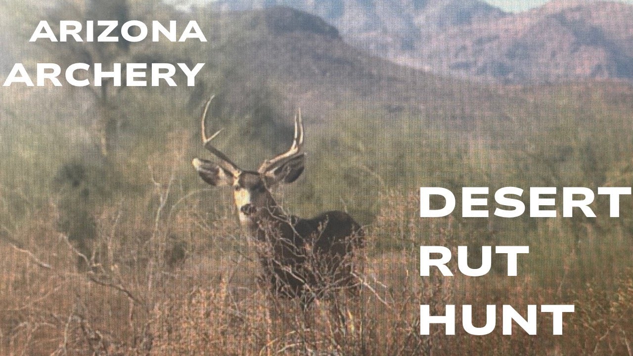 Arizona Public Desert Rut Hunt - YouTube