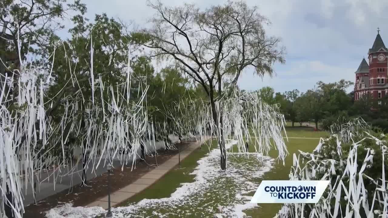 Behind the Toomer's tradition: How crews clean up thousands of rolls of ...