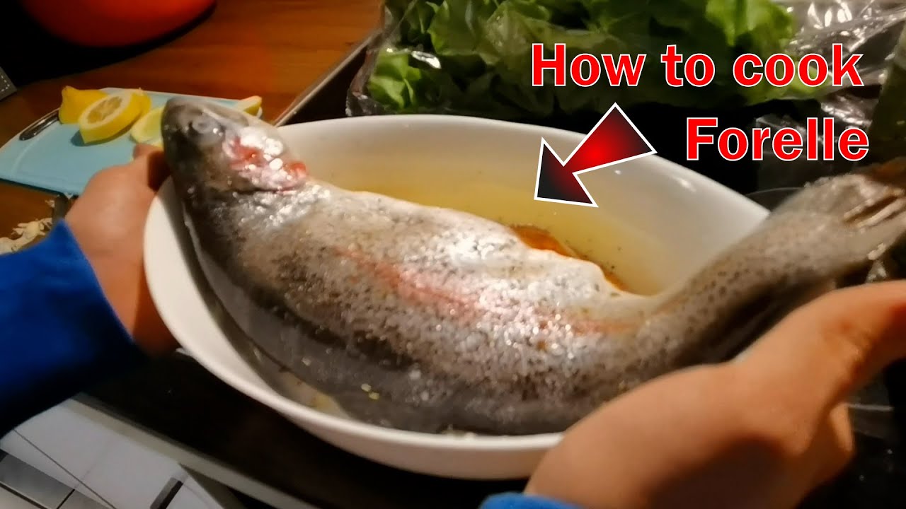 Forell wants to spring back in the Teich TITOKITCHEN 1 - YouTube