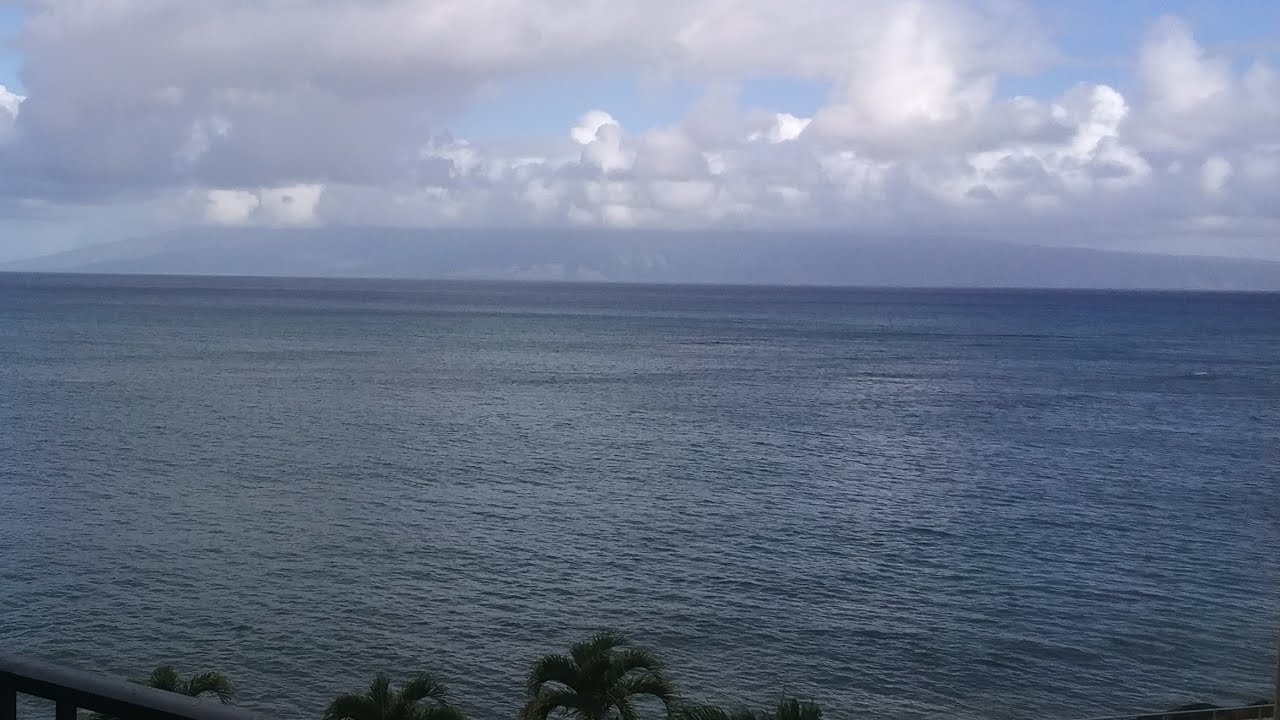 LIVE Hawaii Maui Lahaina Web Cam….All Good Things In All Good Time is ...