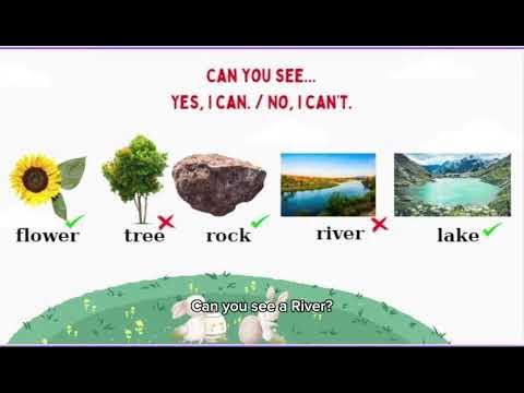 Unit 5 Can you - YouTube