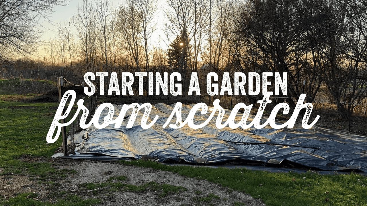 Starting from Scratch | How We Built Our Garden - YouTube