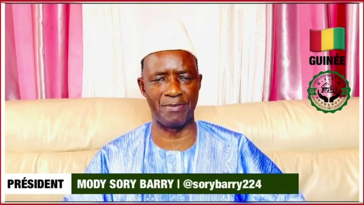 MODY SORY BARRY INTERPELLE LES GUINÉENS DE L'ÉTRANGER. - YouTube