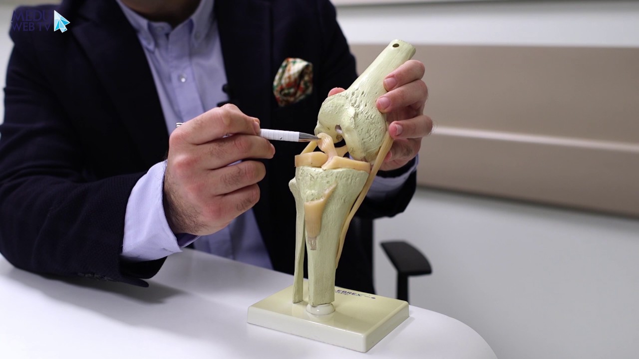 Ön çapraz bağ nedir? | Medipol WEB TV - YouTube