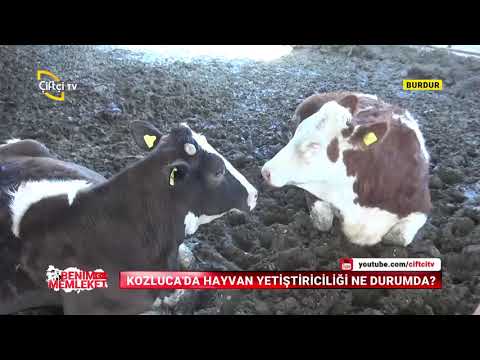 Burdur Kozluca Köyündeyiz - BENİM MEMLEKET / Çiftçi TV