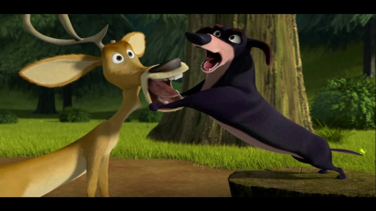 Open Season 2 - rabbit fight - YouTube