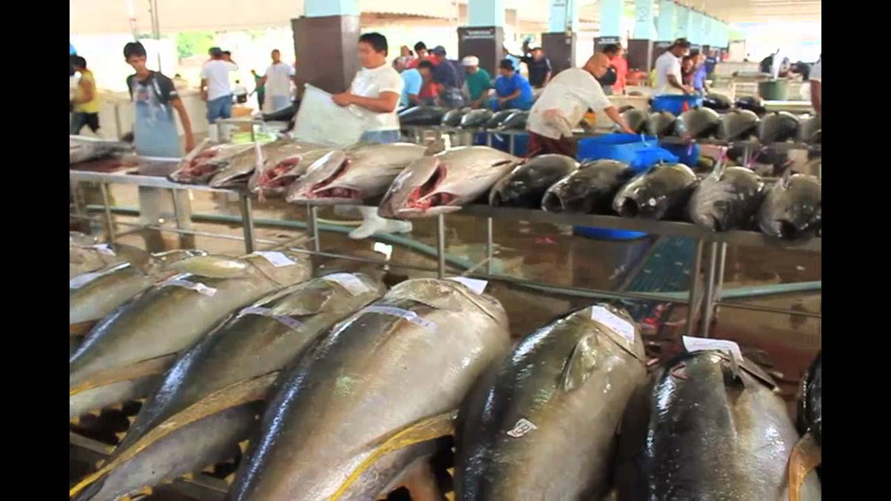 Illegal, Unregulated & Unreported Fishing (IUUF) for Mag-Agri Tayo Part ...
