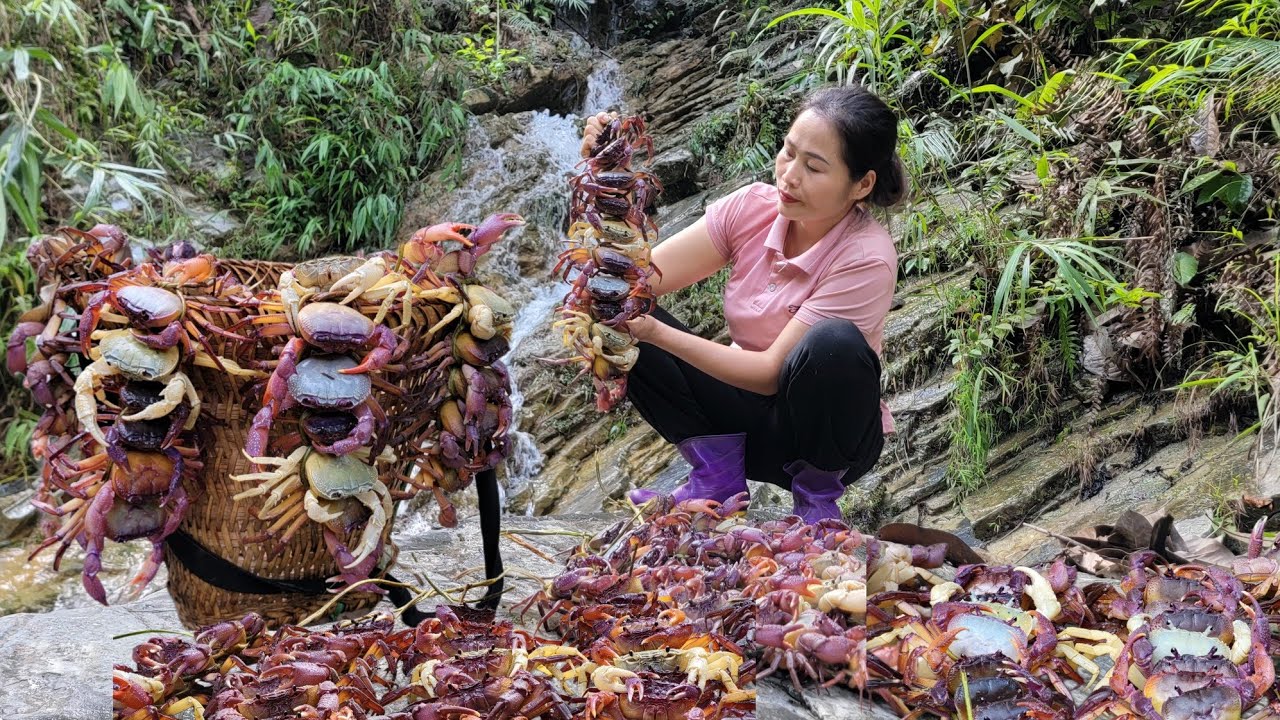 The adventure of catching stone crabs after the rain to sell at the ...
