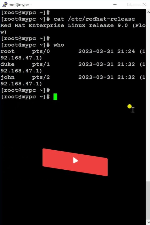 Who Command 🤩 In Linux Trending Linux Linuxtraining Linuxcommands Shorts Viral Youtube