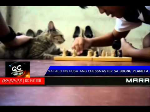 QC Patrol World [August 29, 2010] - YouTube