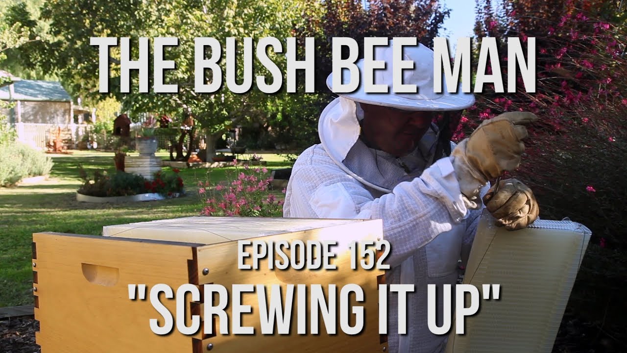 Adjusting Flowhive Frames - The Bush Bee Man - YouTube