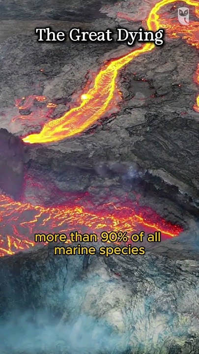 The Great Dying - Earth's Most Severe Extinction - YouTube
