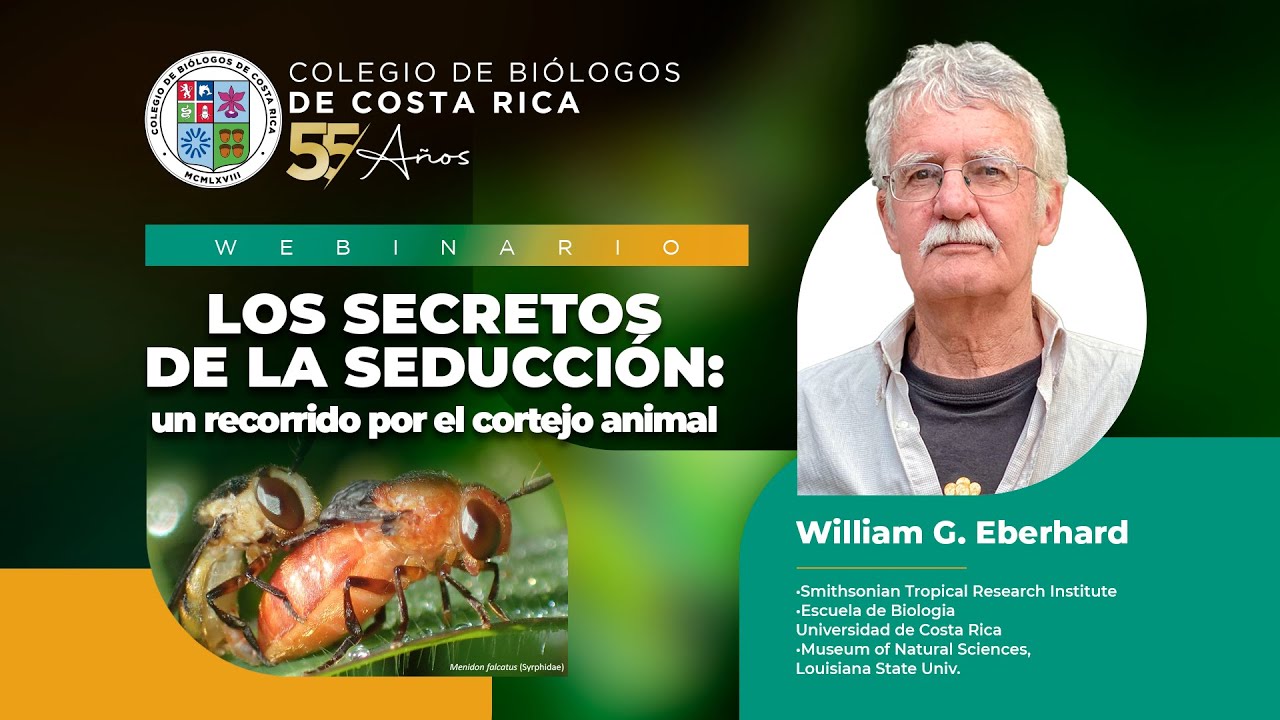 Los secretos de la seducción: un recorrido por el cortejo animal" - YouTube