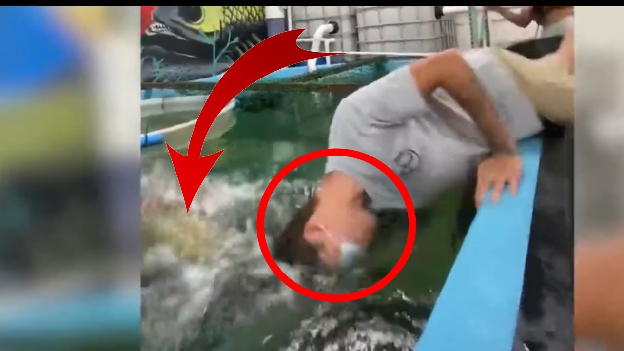 TRY NOT TO LAUGH😆Best Funny Videos Compilation | MMK (58) | Memes - YouTube