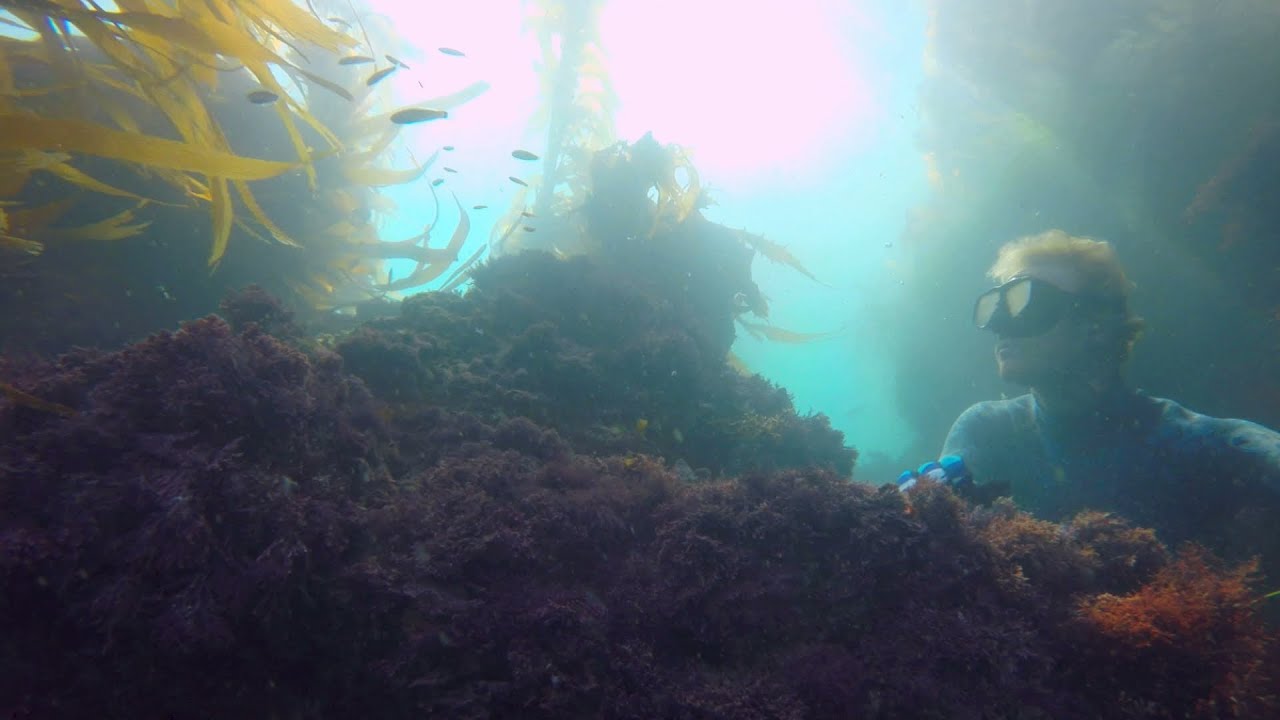 Gopro hero3+ black edition freedive underwater cave swimming - YouTube